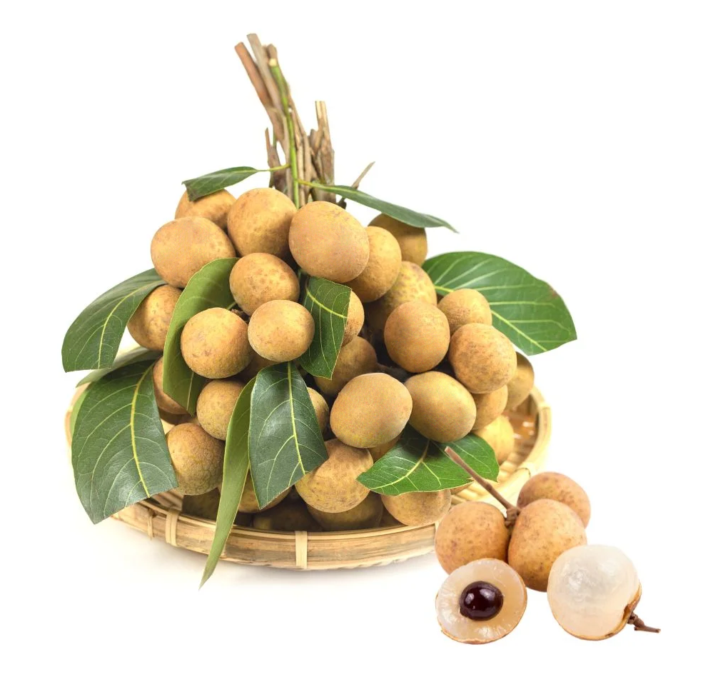 EDOR LONGAN - THACO AGRI