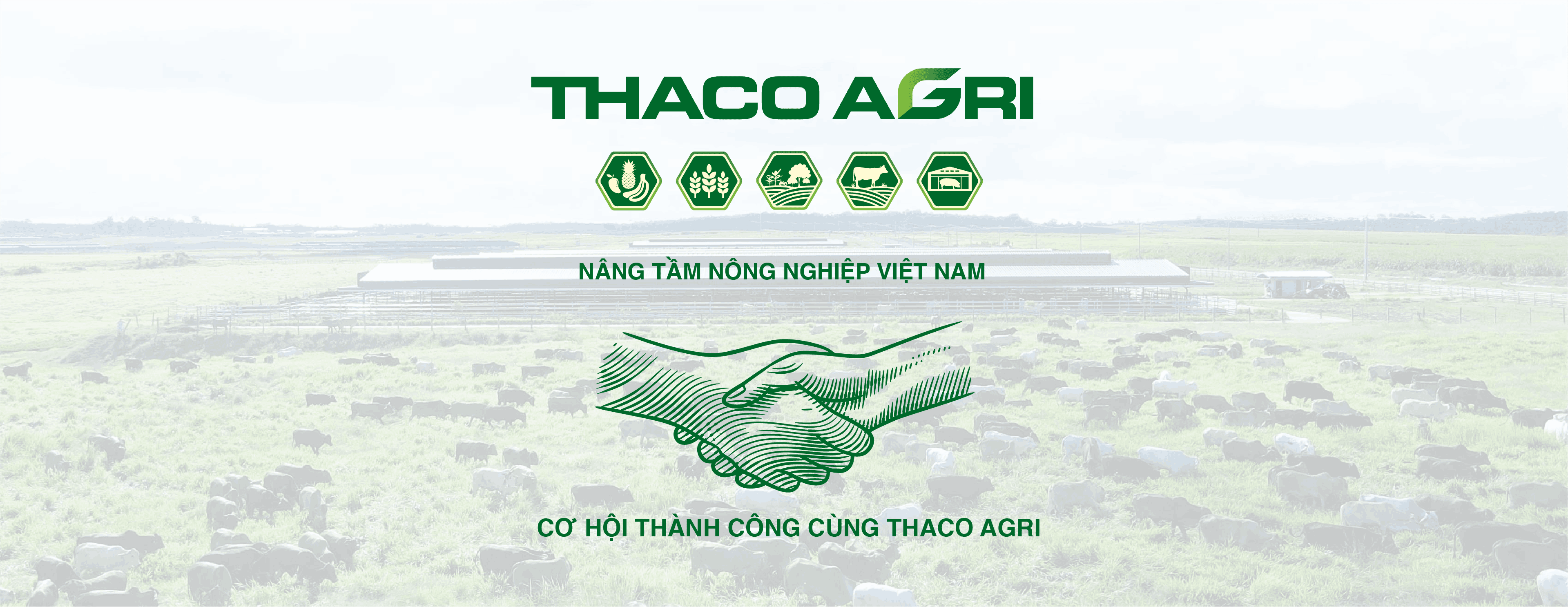 Tuyển dụng - THACO AGRI